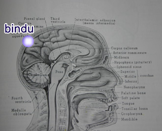 bindu-location | A Few Good Things